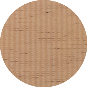 Zebra – Plastilisto